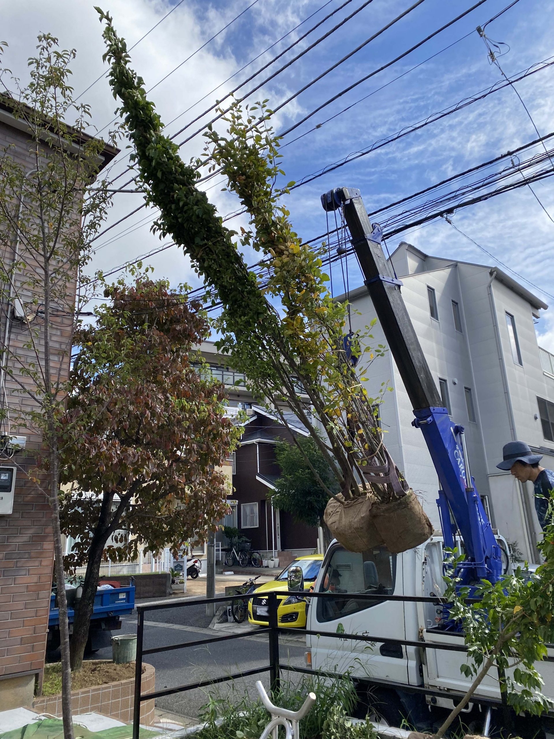 kinari no design methodとは？ 〚瀟洒な煉瓦のコンサバトリー〛の つくりかた。 | 一級建築士と叶える素敵なお庭｜千葉市 ...